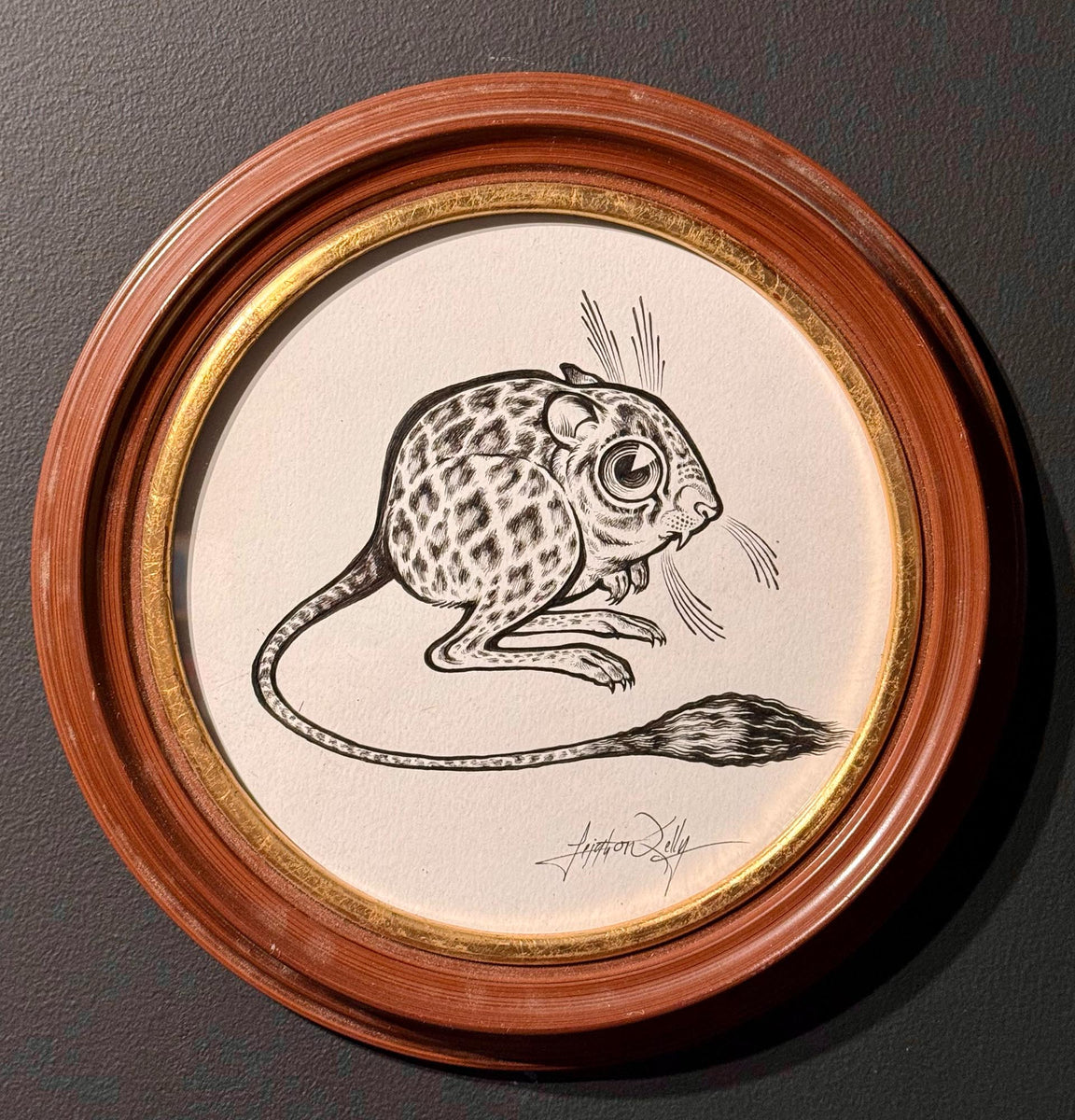 Leighton Kelly - Natural History - Leopard Mouse – The Chambers Project