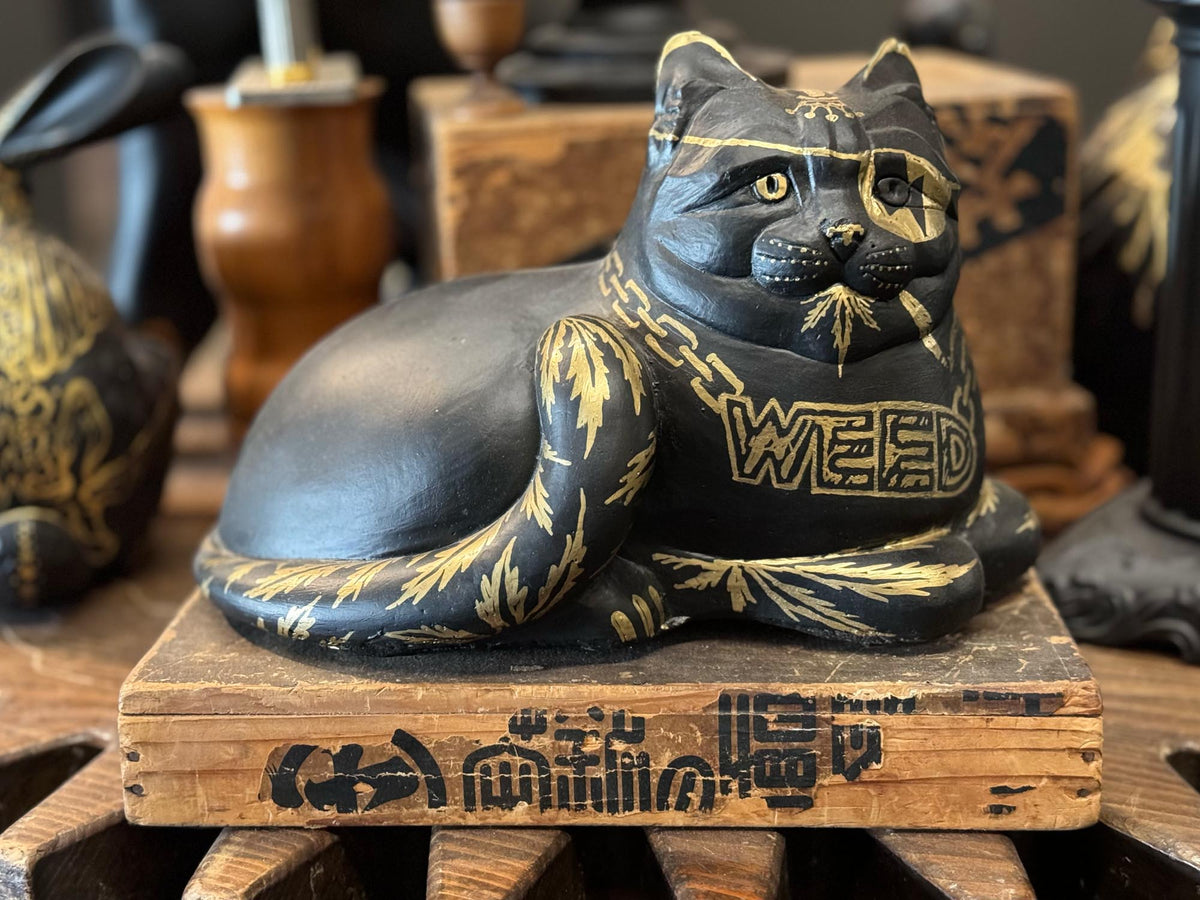 Leighton Kelly - WEED – The Chambers Project